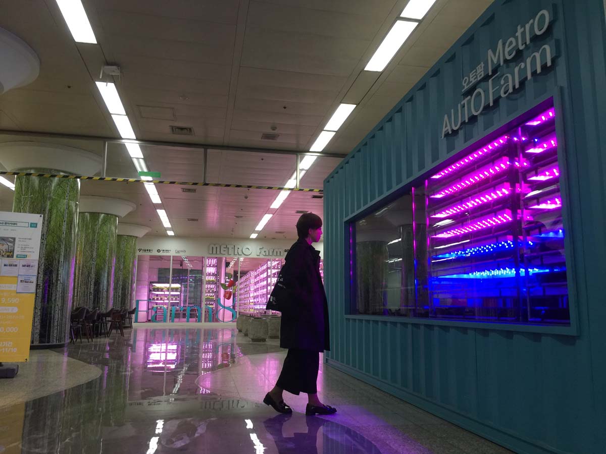 “Metro Farm": a Seul il vertical farming debutta in metropolitana