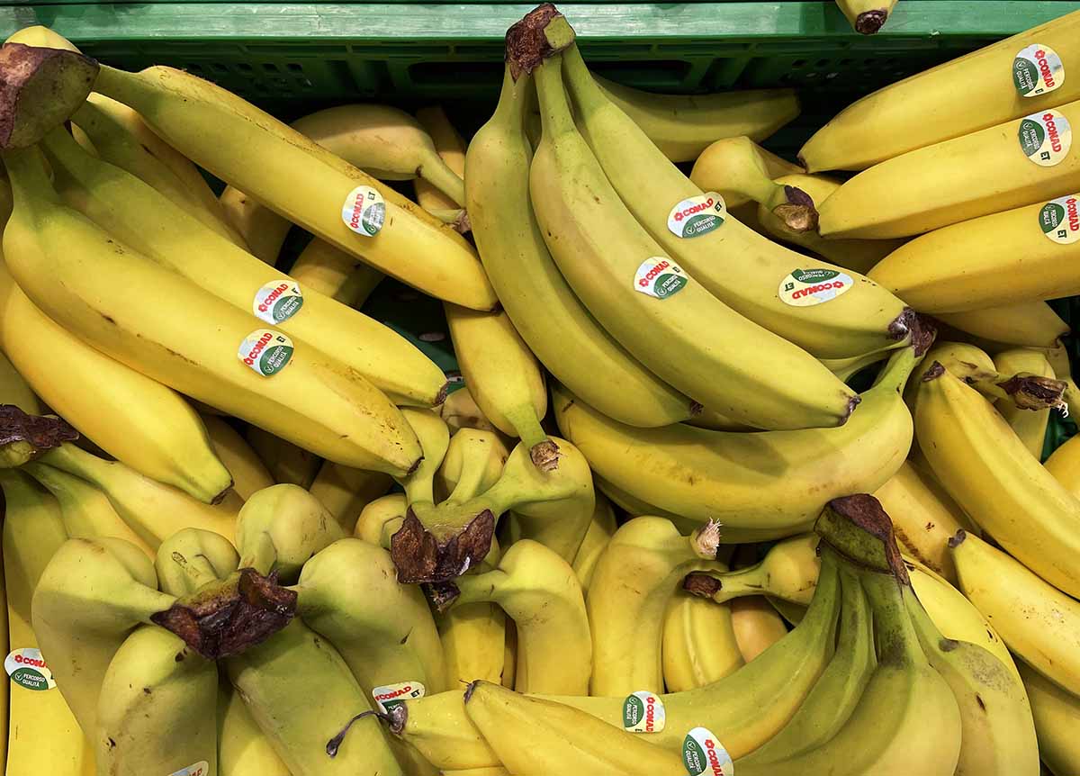 Banane, a che prezzo? Dieci supermercati di Bologna a confronto