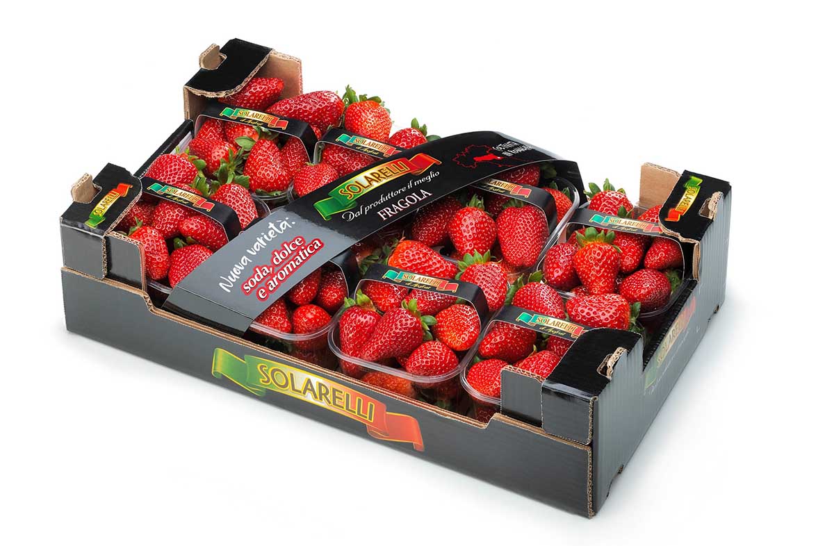 Apofruit liquida ai soci 124.000q di ortofrutta primaverile, -5% sul 2021
