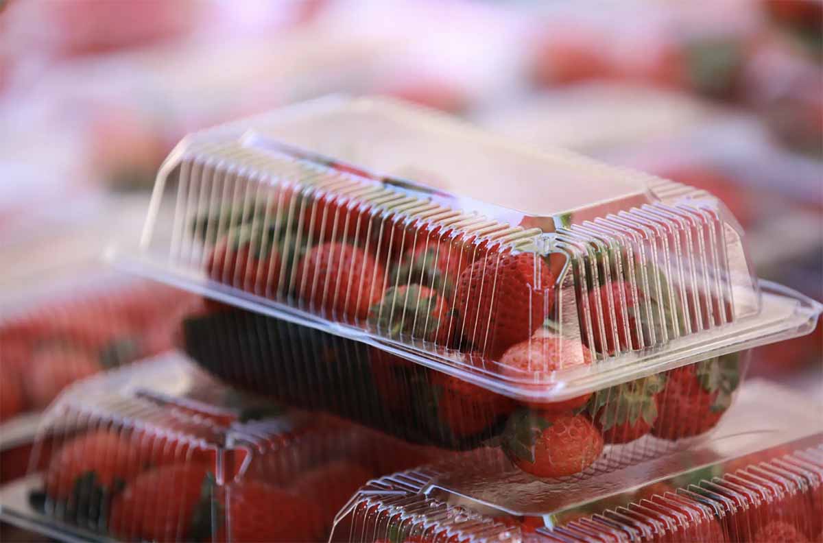 Dossier imballaggi, nuove preoccupazioni per l’ortofrutta