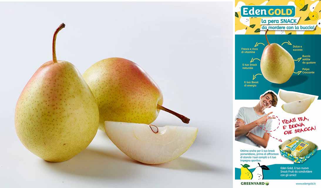 Eden Gold, volumi in crescita per la pera snack che piace ai più giovani