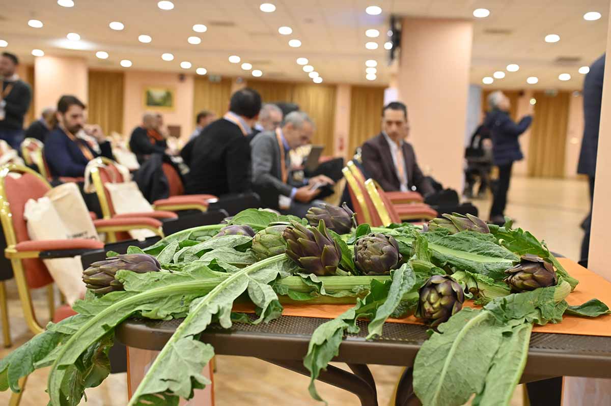 Carciofo, ortaggio simbolo del made in Italy, ma i consumi vanno ...