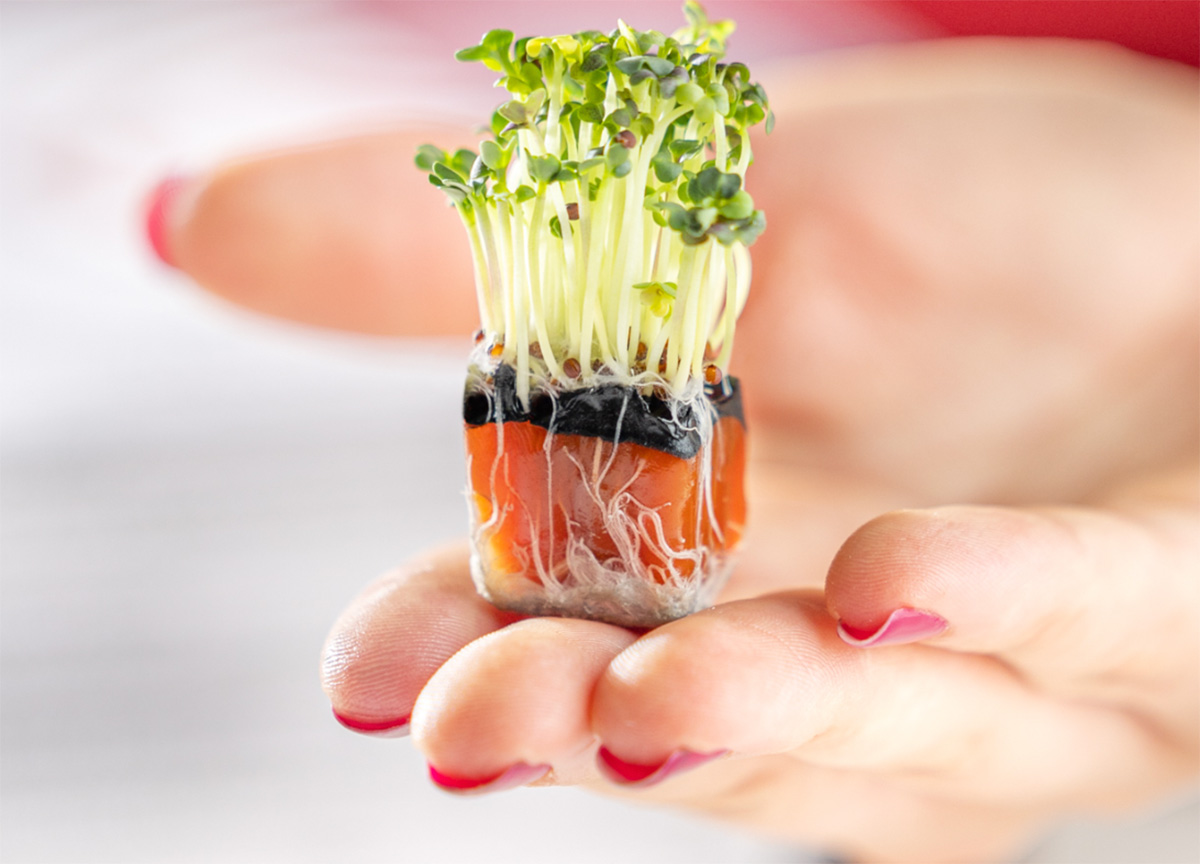 CiboCi, l'alimento del futuro. Naturale al 100% e da mangiare vivo