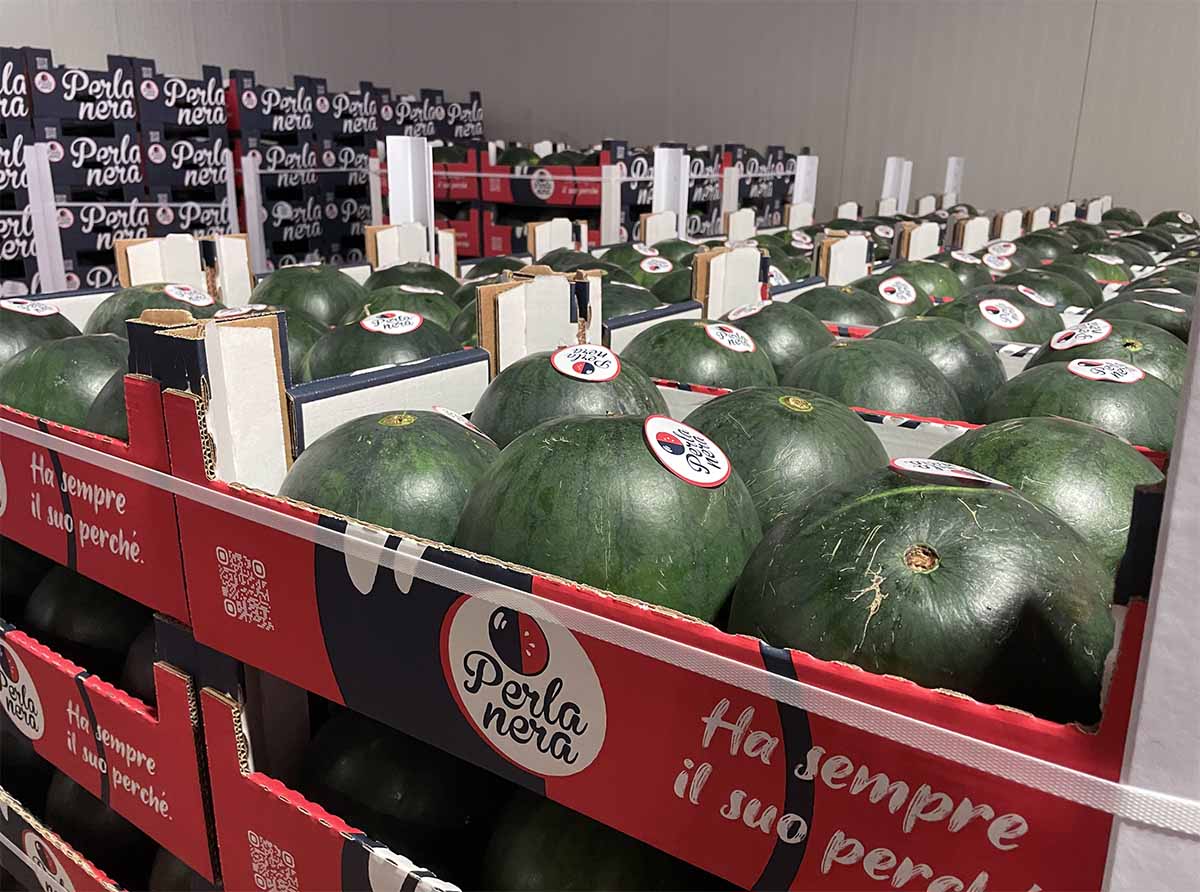Francescon accelera su innovazione e marca: Perla Nera al centro