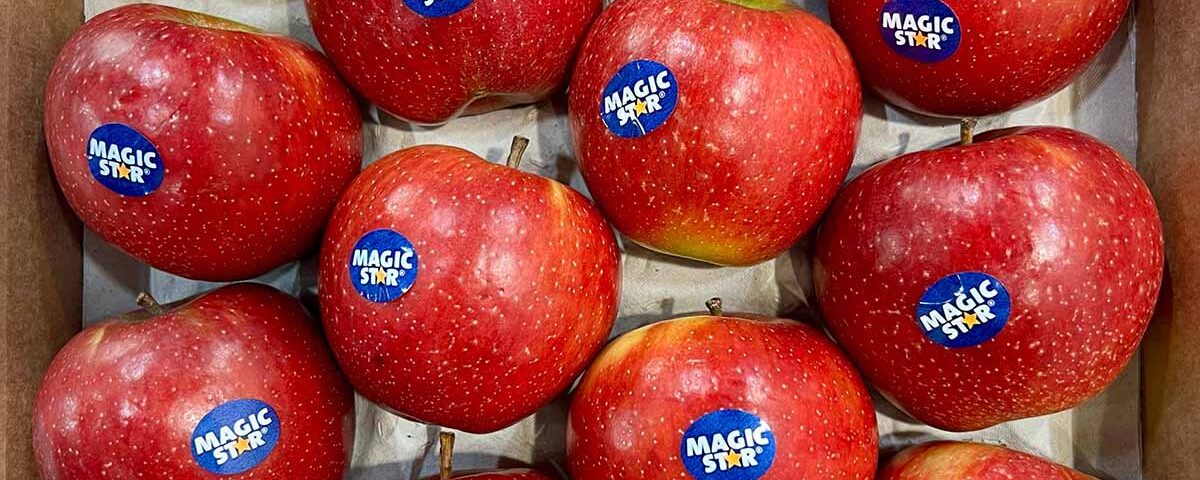 Magic Star: la mela che sorprende, sui banchi in ogni stagione