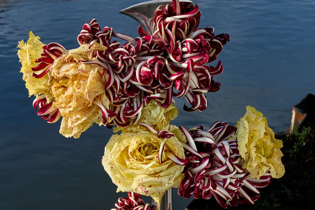 San Valentino, Natoora: “meglio un radicchio che un mazzo di rose”