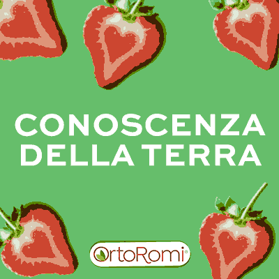 Orsero Spa, fatturato 2024 a 1,57 miliardi (+2%), utile a 27 milioni